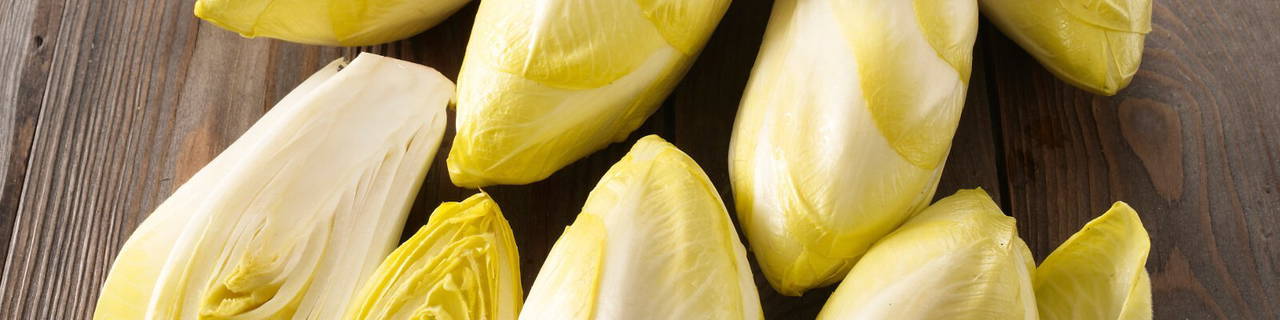 Chicorée: Anbau, Pflege, Ernte, Keimdauer & Sorten