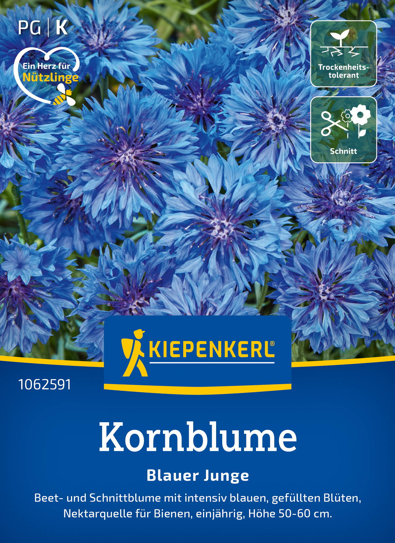 Kornblume Blauer Junge